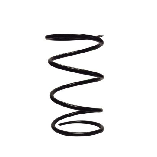 Dalton Polaris Secondary Springs – Wahl Bros Racing