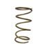 Polaris Secondary Springs – Wahl Bros Racing